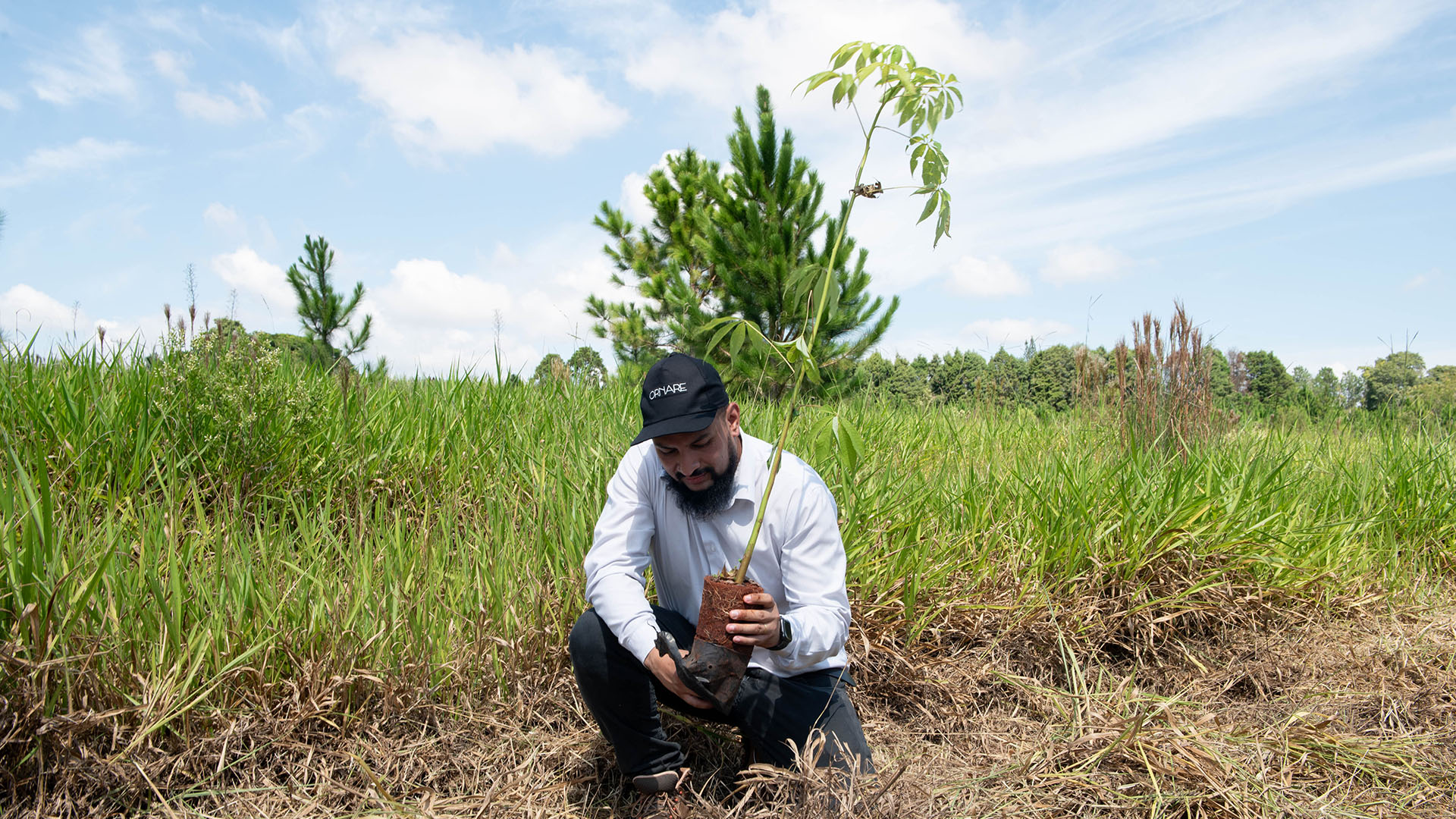 Sustainability on the agenda: Ornare participates in tree-planting ...